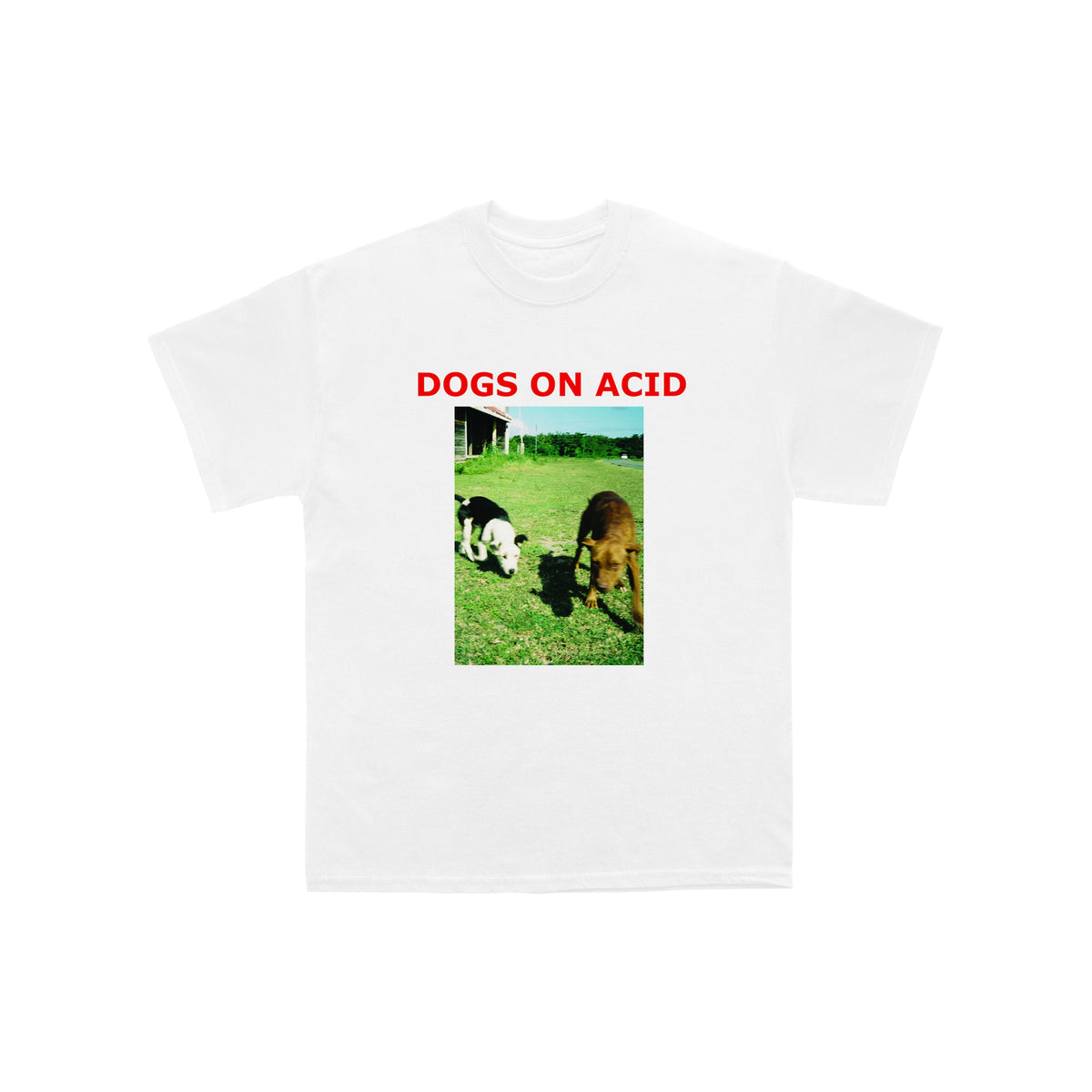 Dogs on Acid - "Dogs on Acid" Shirt – Lauren Records